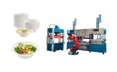 China Automatic Paper Pulp Molding Machinery For Biodegradable Tableware Production for sale