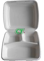 China PLC Paper Pulp Molding Machinery Manual Compostable Sugarcane Tray Dry In Mold Wet Press Machine for sale