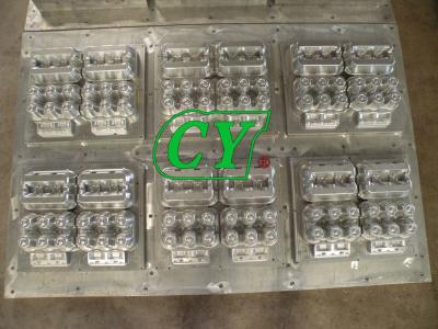 China 15 Cell 18 Cell Egg Carton Mold Diogradable Recycle For Holding Eggs for sale