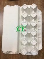 China Biodegradable Moulded Paper Pulp Products Pulp Egg Tray Recycle Egg Box for sale