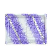 China Customize Design Variety Size Non-Slip Plastic Sushi Tray with Lid for sale