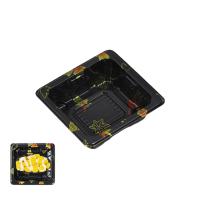 China Disposable Food Grade Plastic Sushi Box 22x9x5.5cm for Takeaway Restaurant for sale