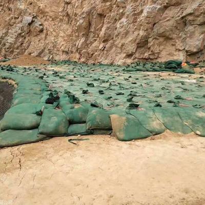China Seawall Geotextile Geobags Polyester Non Woven Geotube Eco Friendly for sale
