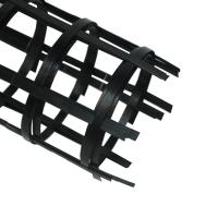 China Black Biaxial PET Polyester Geogrid Mesh 25-200kN/M for sale
