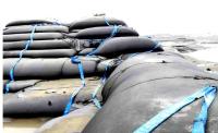 China Anti Biodegradation geo tube Dewatering Bags For Solid Dam Engineering for sale