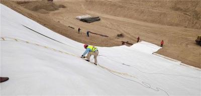 China Needle Punched Nonwoven Geotextile 400g Geofabric Retaining Wall for sale