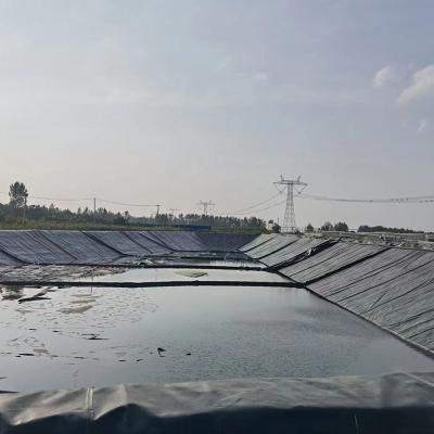 China Anti Aging Geomembrane Pond Liner Reservoir Dam Fish Pond Shrimp Farm Hdpe for sale