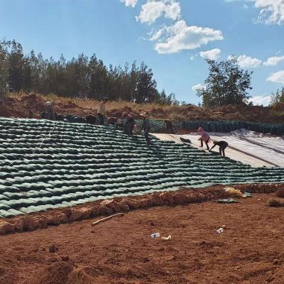 China Non Woven Geotextile Geobag Geotube For Water Filter Waterproof for sale