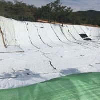 China 200g Per M2 Filament PET PP Non Woven Geo Textile Fabric Geotextile for sale