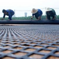 China Steel Plastic Geogrid For Stabilized Gravel Surface Subgrade And Reinforcement Net for sale