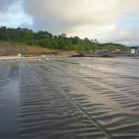 China 0.5mm 1mm 1.5mm Plastic Waterproof Aquaculture Geomembrane Hdpe Liner Fish Farm Wholesale Geomembrane Pond Liner for sale