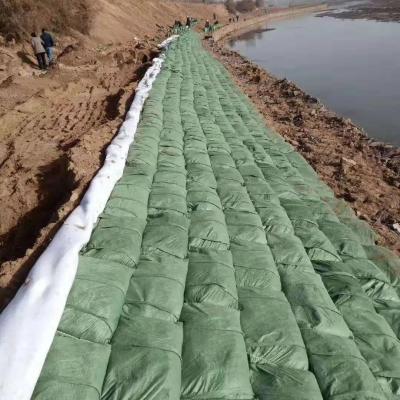 China Durable Geobag Slope Protection System Earthbag Geo Fabric Bag for Riverbank Erosion Control and Flood Protection for sale