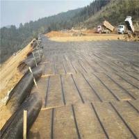 China Geo Grid Ground Grid Plastic Uniaxial Polyester Geogrid Uniaxial Gravle Grid Ground For Driveway Basement for sale
