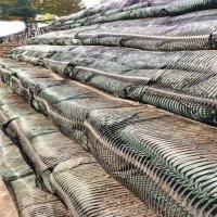 China Geo Grid Ground Grid Plastic Uniaxial Polyester Geogrid Uniaxial Gravle Grid Ground For Driveway Basement for sale