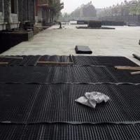 China Dimpled Drainage Membrane Greening Project PVC Perforated Dimple Drainage Board Groundwork Water Solution Water Solution for sale