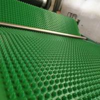 China Dimpled Drainage Membrane Greening Project PVC Perforated Dimple Drainage Board Groundwork Water Solution Water Solution for sale