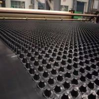 China Dimpled Drainage Membrane Greening Project PVC Perforated Dimple Drainage Board Groundwork Water Solution Water Solution for sale