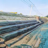 China PP Plastic PE One-Way Uniaxial Polyester Geogrid Gravle Grid Ground Stabilizer for Soil Reinforcement for sale