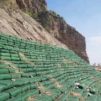 China Engineering Grade Nonwoven PP/PET Needle-Punched Geotextile Geobag for Coastal Protection, Embankment Stabilization, and Erosion Control for sale