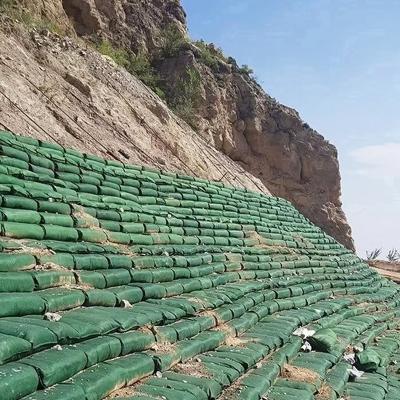 China Engineering Grade Nonwoven PP/PET Needle-Punched Geotextile Geobag for Coastal Protection, Embankment Stabilization, and Erosion Control for sale