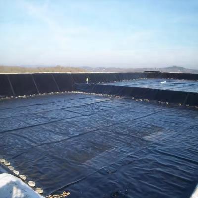 China Long-Lasting Anti-UV Geomembrane Pond Liner Fish Farm Black Film For Dam Artificial Lake Use for sale