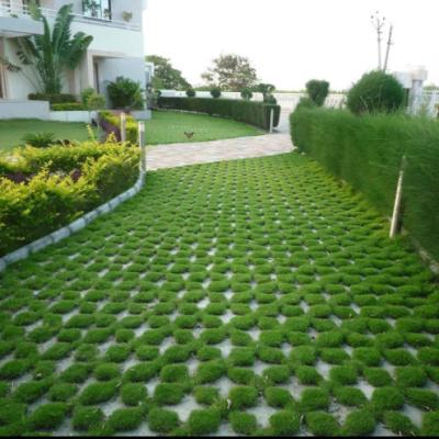 China Plastic Plastic Grass Grid For Parking Lot Fire Exit HDPE Pavers Geogrid For Landscape Ground Geocell Gravel Paddock Grid for sale