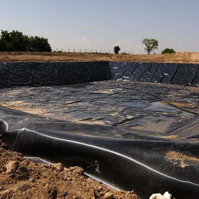 China Impermeable UV Resistant HDPE Geomembrane Pond Liner For Aquaculture Agriculture Dam Landfill Fish Farming Biodigester Mining for sale