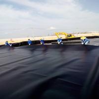 China Geomembrane Pond Liner 0.5mm 1mm 1.5mm 2mm HDPE LDPE Lldpe PVC EVA Geomembrane Pond Liner for sale