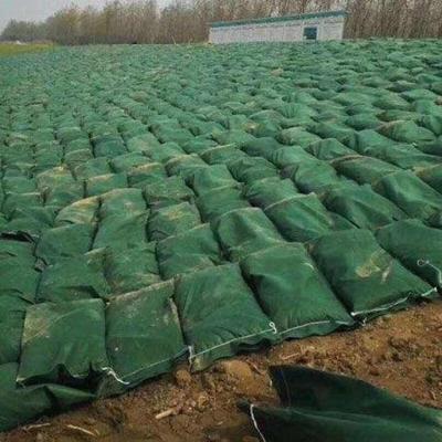 China Premium Environmental Geotextile Geobag PP Pet Non Woven Geotextile Woven Fabric White Color Geotextile Geobag for sale