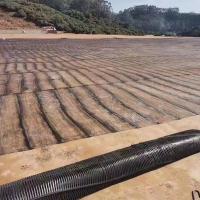 China Reinforcement Biaxial Plastic PP PE Uniaxial Composite Stretched HDPE Geogrid Road Railway Construction for sale