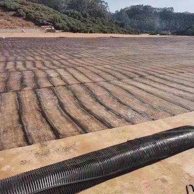 China Reinforcement Biaxial Plastic PP PE Uniaxial Composite Stretched HDPE Geogrid Road Railway Construction for sale
