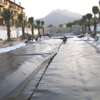 China High Density HDPE Geomembrane Liner Sheet Waterproofing Membrane for Fish and Shrimp Aquaculture for sale