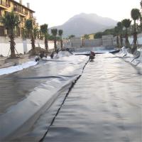 China Hard Black Liner Hdpe Waterproof Pond Liner Geomembrane Polyethylene Factory Price for Sale for sale