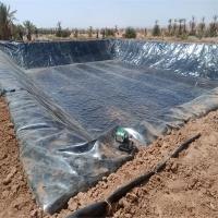 China Wholesale Plastic Drainage Sheet Waterproofing Drainage Board Geomembrane for Pond Liner Dam for sale
