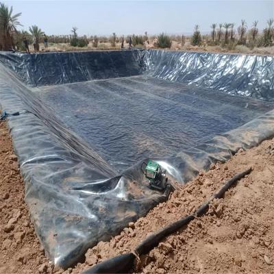 China Wholesale Plastic Drainage Sheet Waterproofing Drainage Board Geomembrane for Pond Liner Dam for sale
