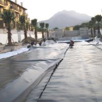 China Water Production Farming Agricultural Dam Landfill Site Fish Pond HDPE Geomembrane Lined Plastic Film for sale