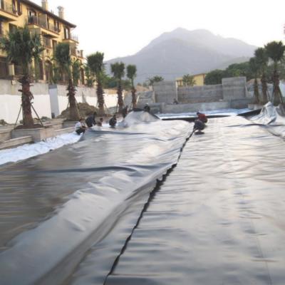 China Water Production Farming Agricultural Dam Landfill Site Fish Pond HDPE Geomembrane Lined Plastic Film for sale