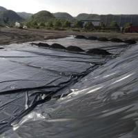China 0.75mm HDPE Industrial Geomembrane for Fish Farm Pond Liner Waterproofing Applications Dam Landfill for sale