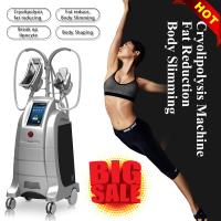 China Fat Removal Slimming Laser Machine 4 Handpiece Cryolipolysis for sale