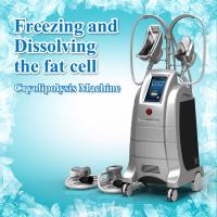 China Fat Removal Slimming Laser Machine 4 Handpiece Cryolipolysis for sale