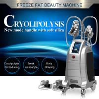 China Fat Removal Slimming Laser Machine 4 Handpiece Cryolipolysis for sale