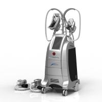 China Fat Removal Slimming Laser Machine 4 Handpiece Cryolipolysis for sale
