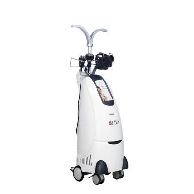 China Low Price Slim Body Vibration Muscle Stilulator Weight Loss Therapy Machine for sale