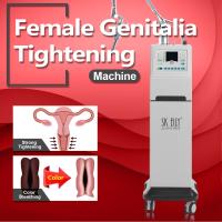 China Fractional Co2 Laser Vigina Tightening Machine Anti Aging for sale