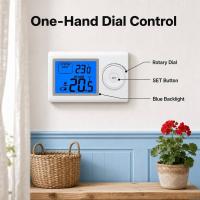China Riseem 230VAC Non - programmable Temperature Controller Digital Heating Boiler Room Thermostat for sale