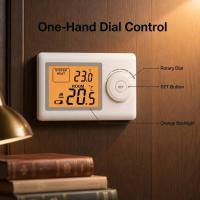 China Riseem Temperature Control Room Heating Thermostat , Digital House Thermostat White Color for sale
