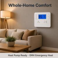 China Riseem Dependable Operation Air Source Heat Pump Thermostat with Internal NTC Sensor in HEAT Mode for sale