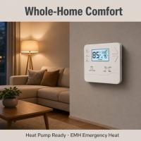 China Riseem 1.5 Amp Maximum All Terminals Combined Commercial Heat Pump Thermostat Conventional Or Heat Pump Application Type for sale