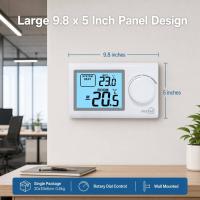 China Riseem Digital Display Style Boiler Room Thermostat with Temperature Control and Programmable Function for sale