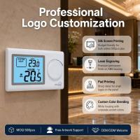 China Riseem Digital Display Style Boiler Room Thermostat with Temperature Control and Programmable Function for sale